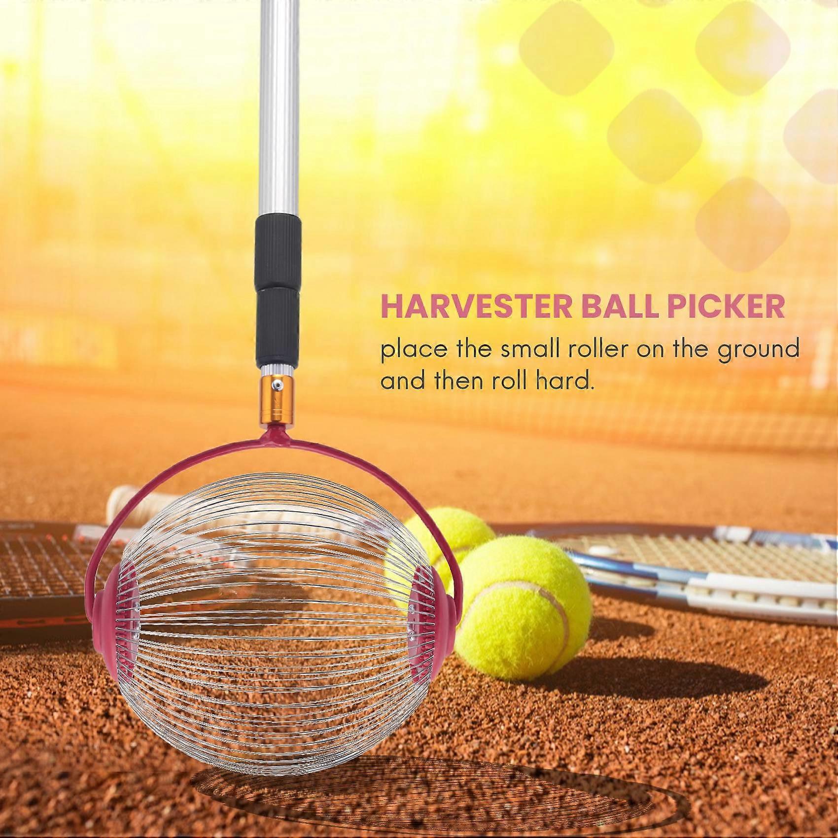Rolling Nut Ball Picker Stainless Steel Adjustable Nut Gatherer ...