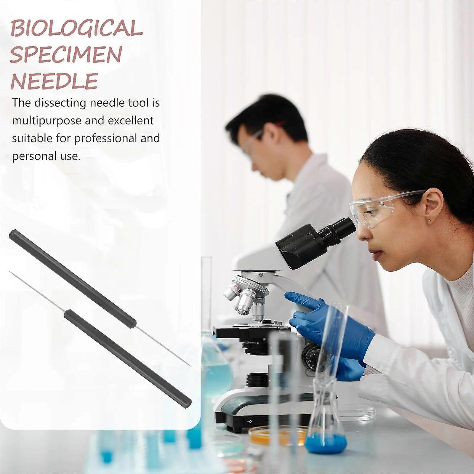 2 Pcs Insect Dissecting Needle Butterflies Anatomy Tool School ...