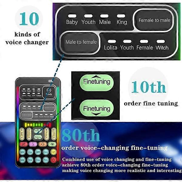 Voice Changer, Handheld Microphone Voice Changer with Sound ...