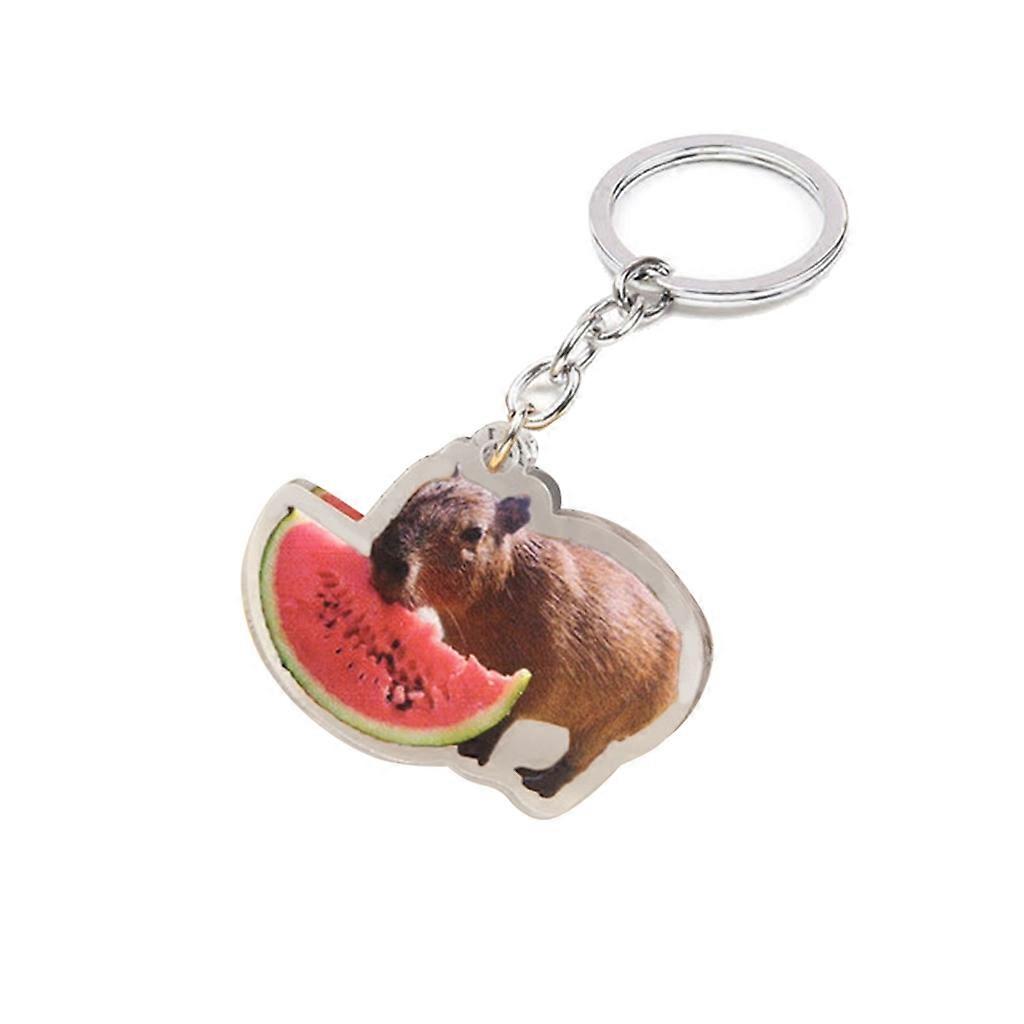Acrylic Keychain Cartoon Capybara Pendant Keychain Double Sided Clear ...