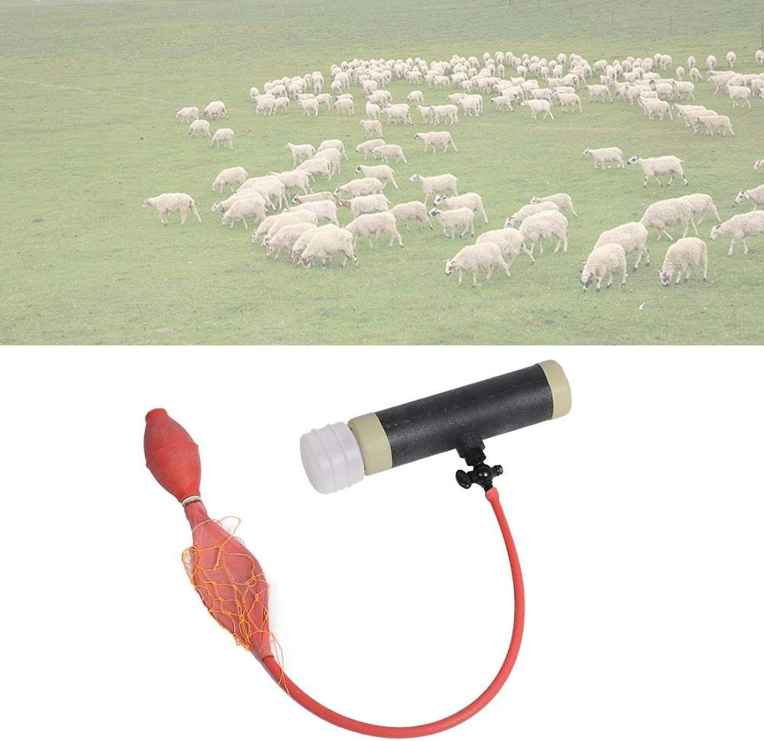 Ram Ox Semen Collection Device Set, Semen Collection Cup with Double ...