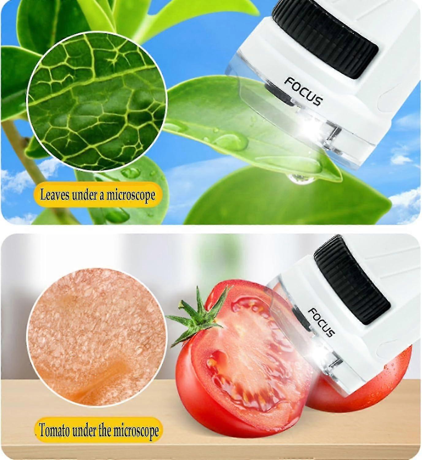 Minilabsters Miniscope Kids, 2024 Neues Mini Labsters Tragbares ...