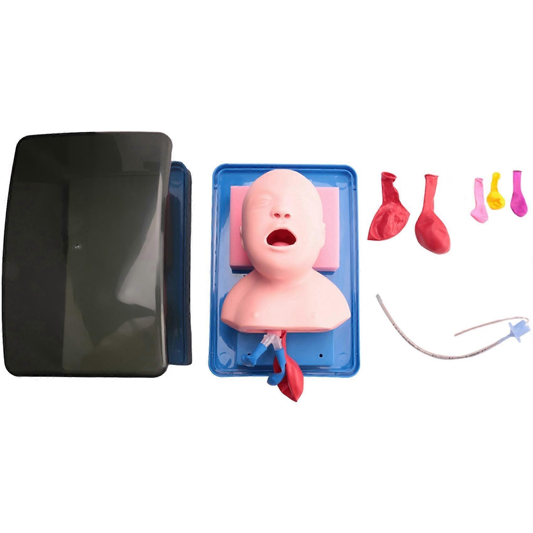 Neonatal Tracheal Intubation Model Analog Double Lung and Stomach ...