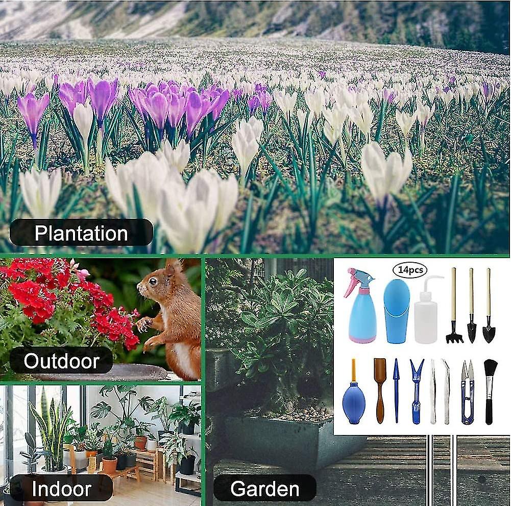 Gardening Tool Kits, 14pcs Succulent Garden Kit Mini Garden Tools ...