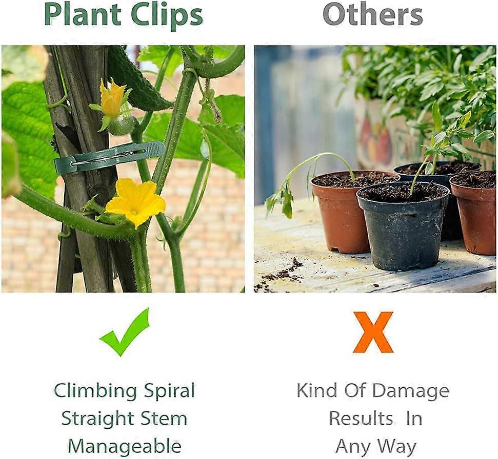 Plant Clips, Plant Clips Set, Justerbara växtstödsklämmor, Spring Clips ...