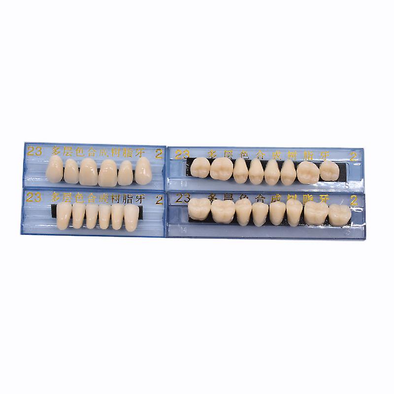168 Pieces/6sets /box Dental Synthetic Polymer Teeth Full Set Resin ...