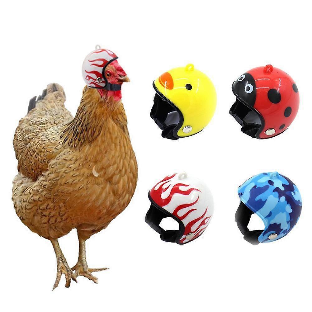 4 Pcs Chicken Helmet Plastic Bird Head Protection Chick Pecking Helmet ...