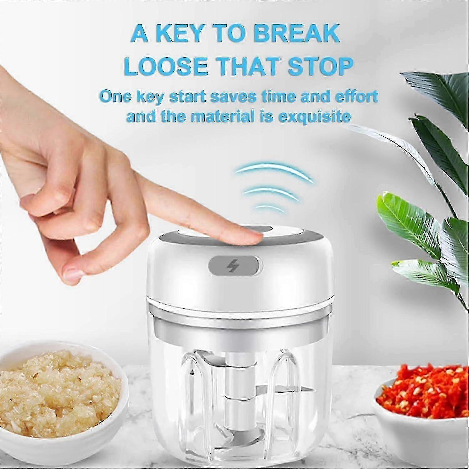 Cordless Electric Chopper, Mini Food Processor, 250ml, Easy To Clean ...