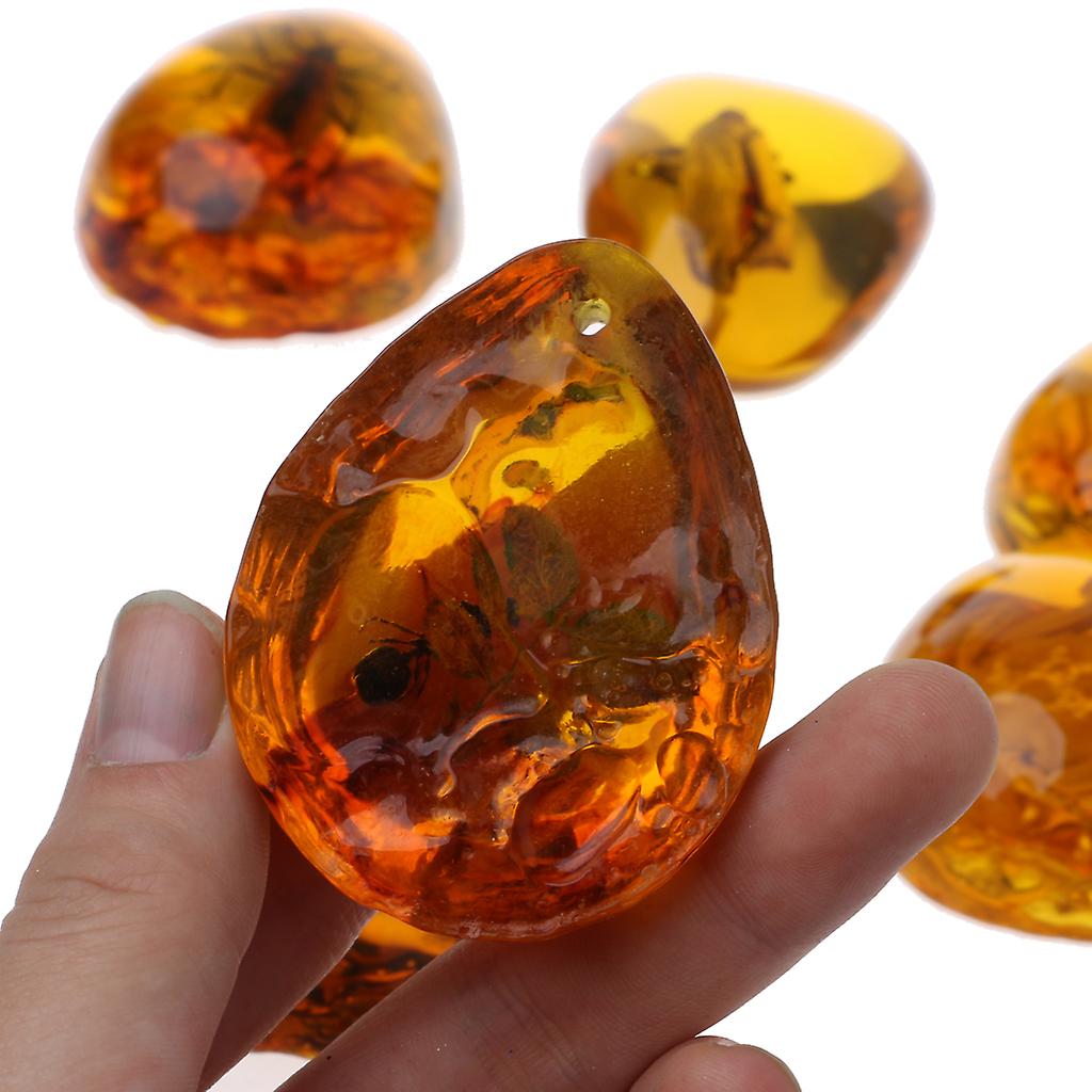 Animals Amber For Butterfly Insects Stone Pendant Necklace Gemstone For ...
