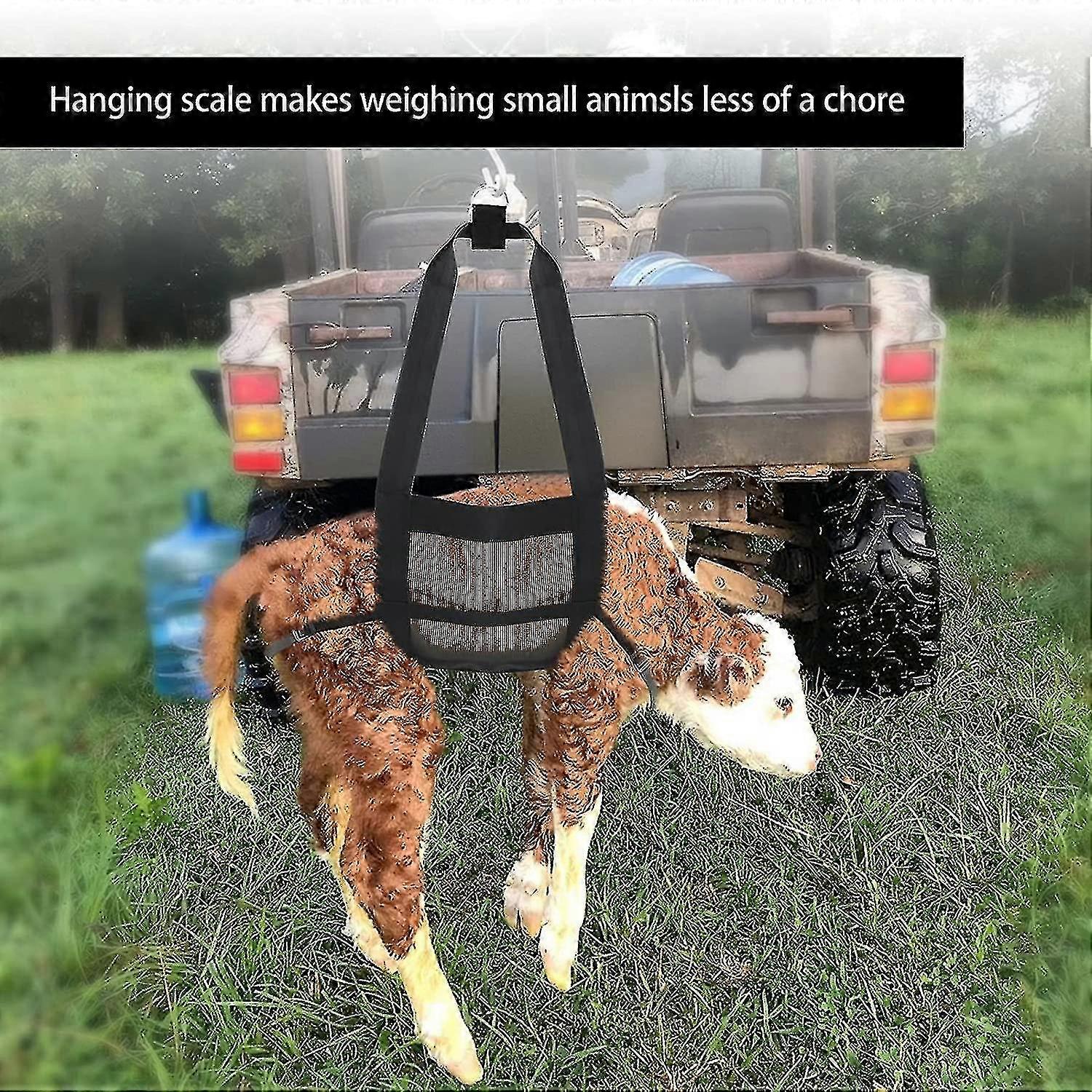 Calf Sling For Weighing Animals Heavy Duty Hanging Weight Scale Sling ...