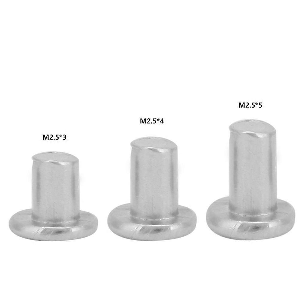 100 Pack Flat Head Solid Rivets M2.5 Kit, Aluminum Rivets Set Fastener ...