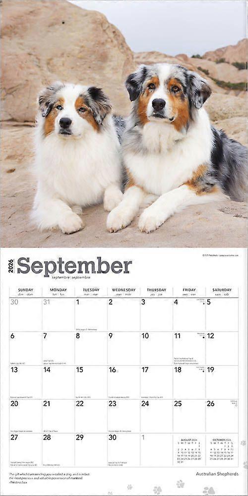Browntrout Australian Shepherd Kalender 2026 | Fruugo US