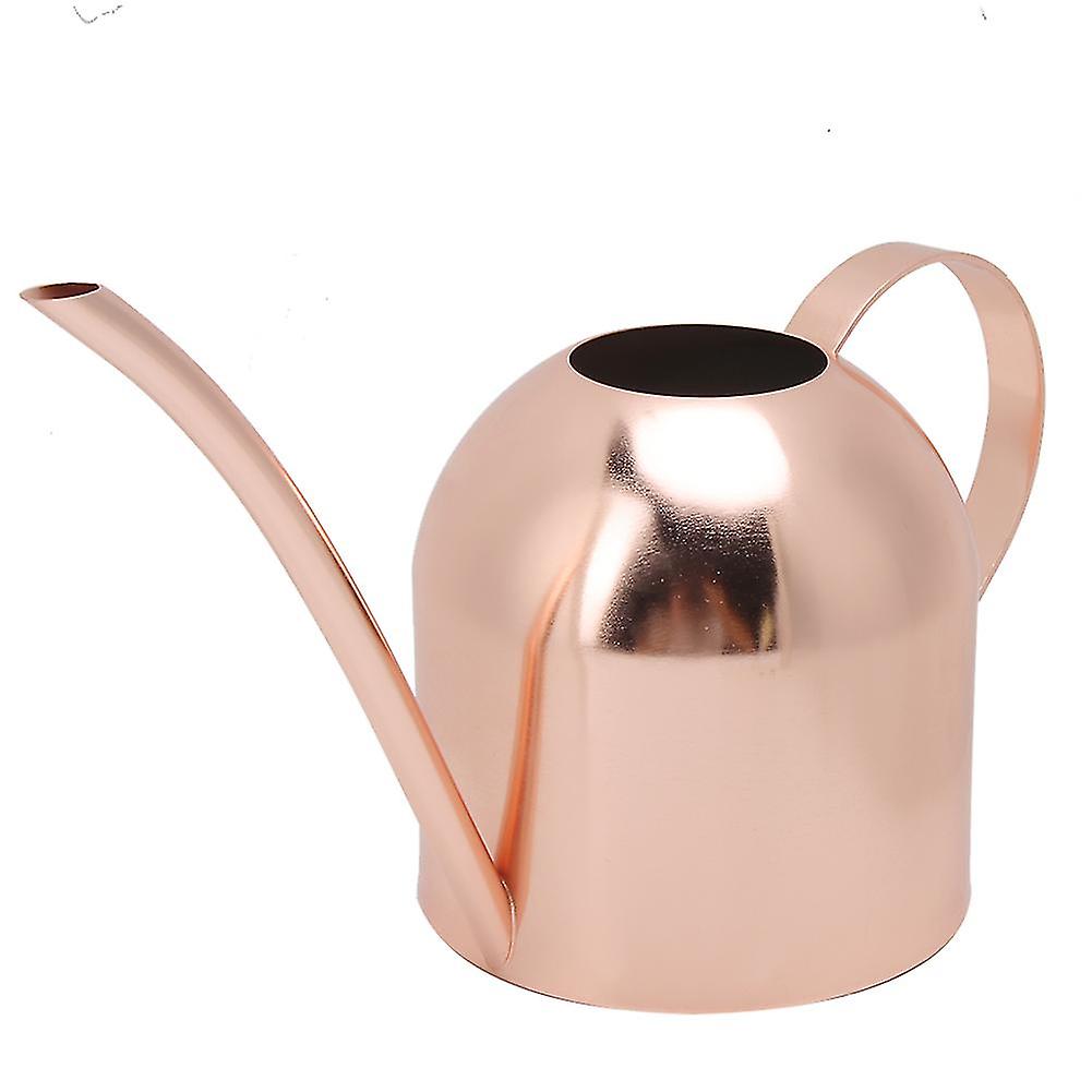 Stainless Steel Watering Can 1000ml - Long Mouth Sprinkle Pot for ...