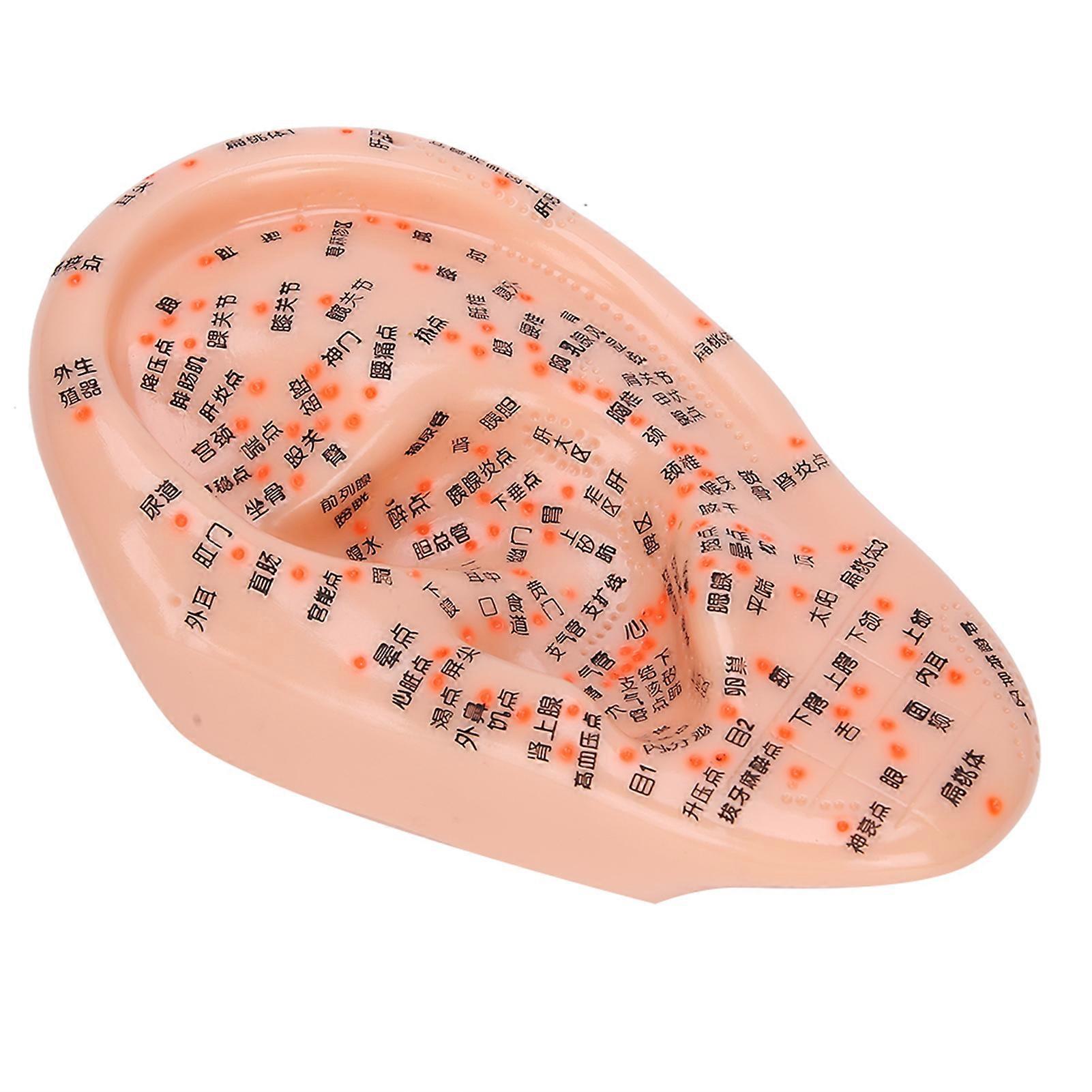 Human Ear Acupuncture Model for Home Use with Acupuncture Points and ...