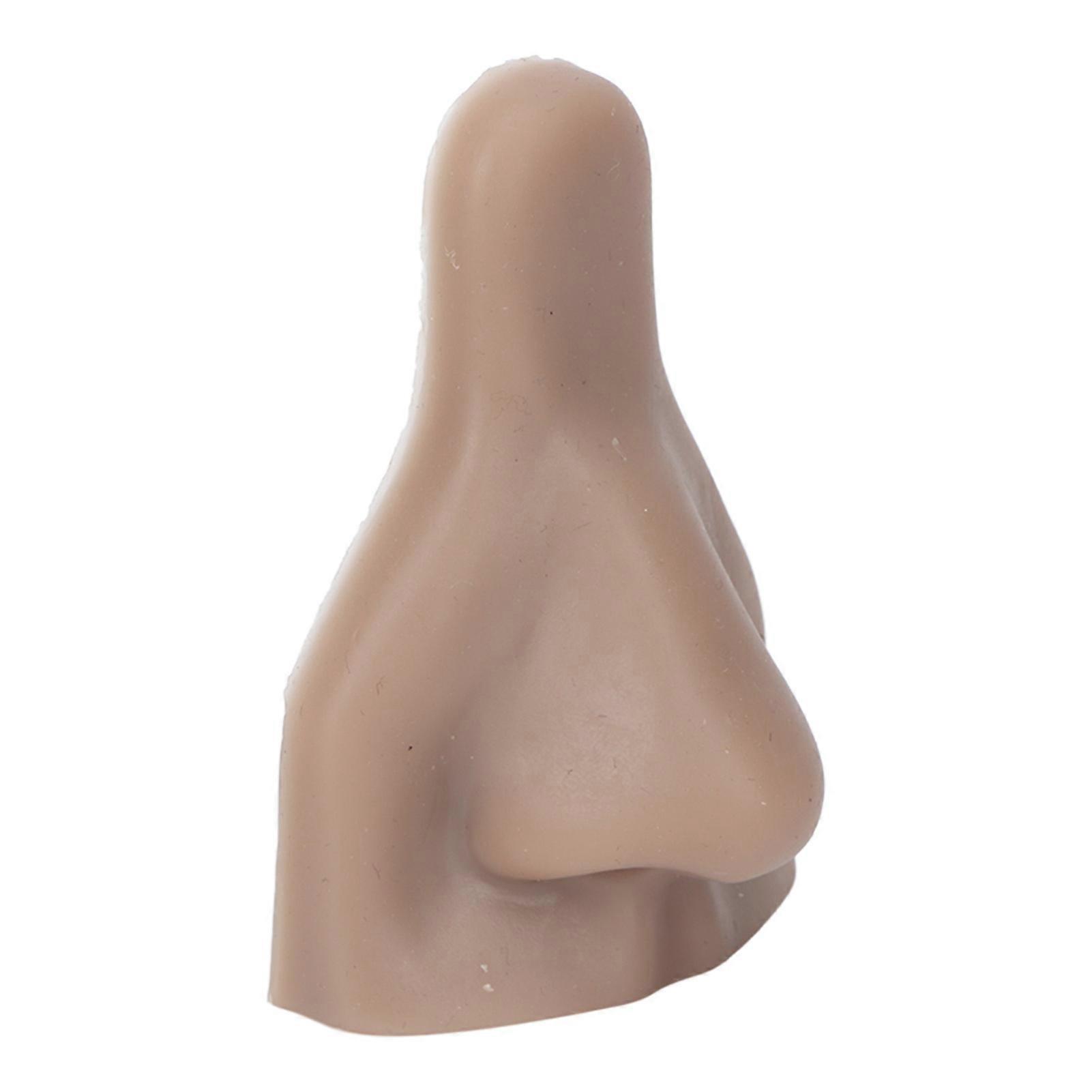 Silicone Nose Model Set Simulation 3D Soft Practice Nose Model for Nose ...