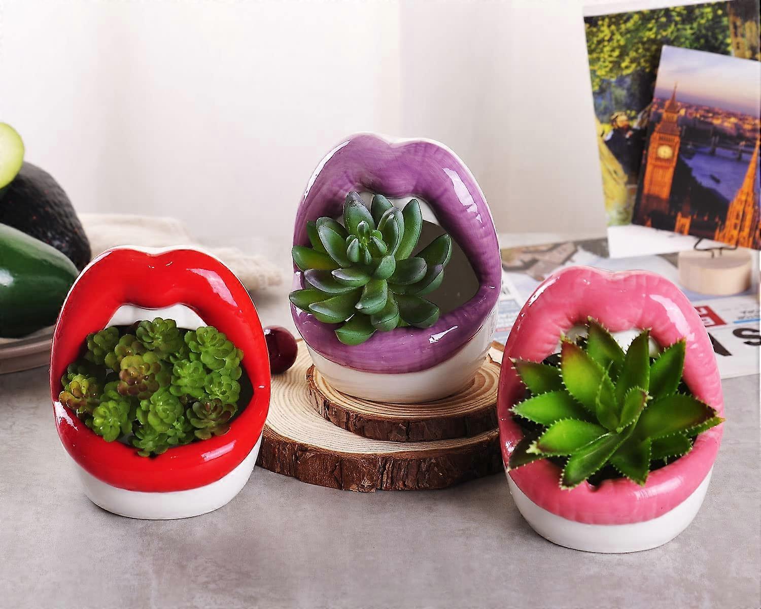 Sexy Lips Planter Pot, Ceramic Succulent Planter - Pink | Fruugo UK