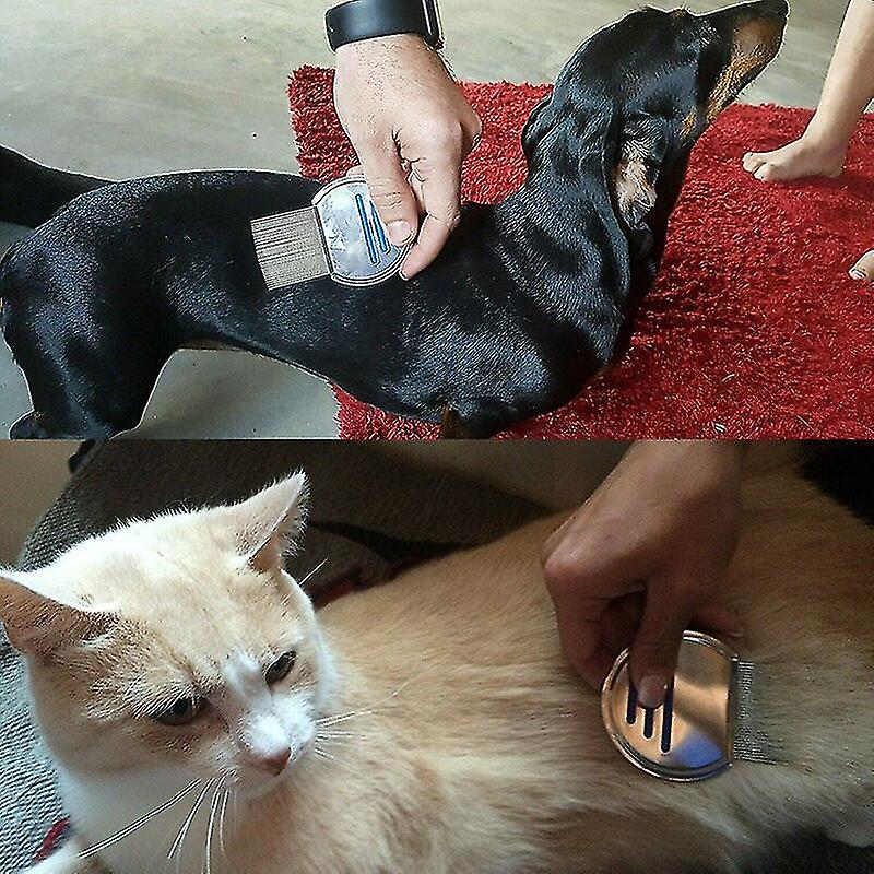 Terminator Lice Comb Nit Free Kids Hair Rid Headlice Stainless Steel ...