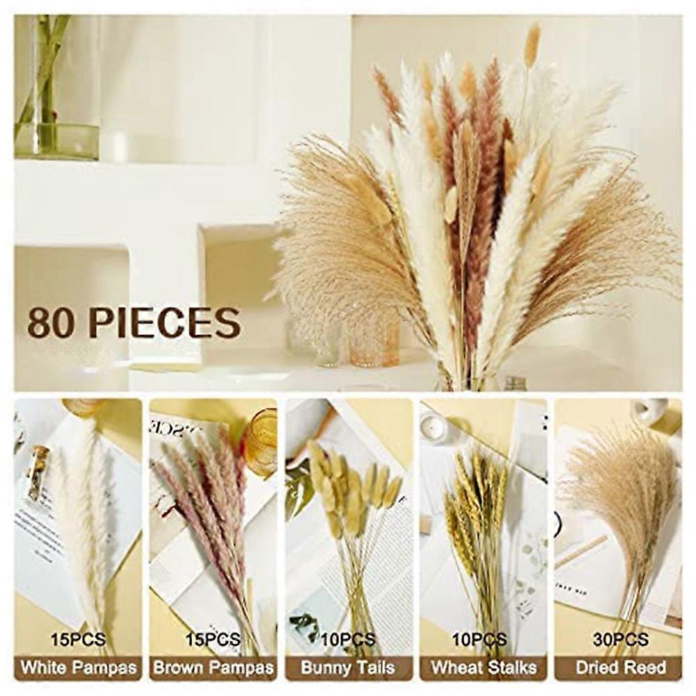 Pampas Grass Dried Pampas Reeds Natural Brown and White Rabbit Reeds ...
