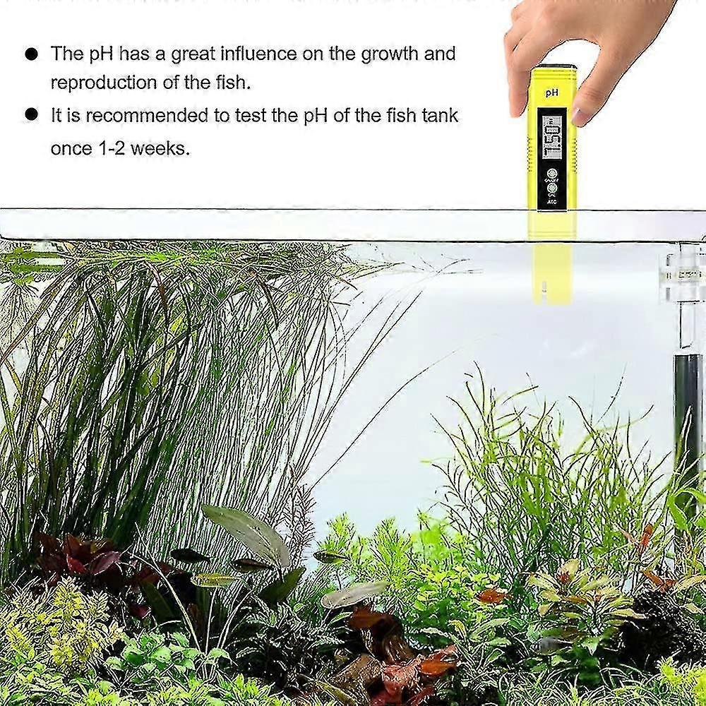 Electronic Ph Meter Tds Water Quality Meter And Ph Test For Drinking ...