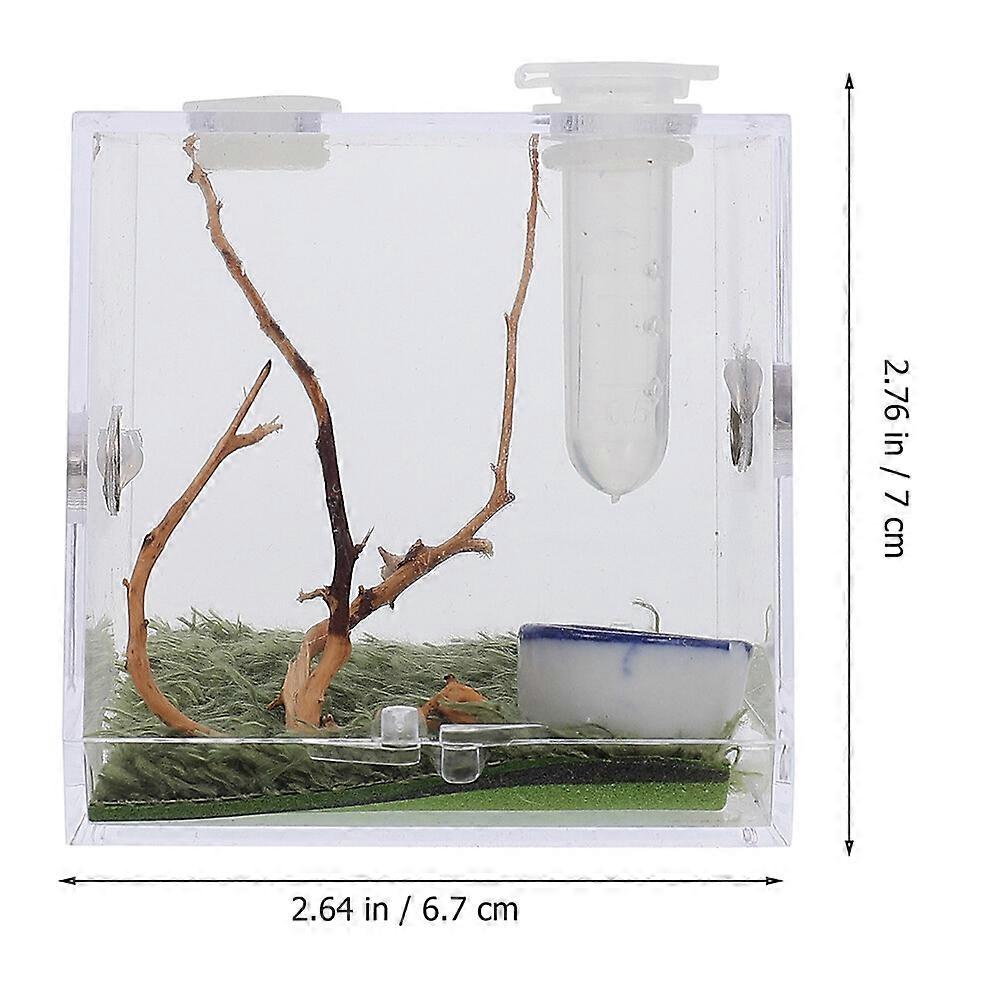 2 Sets Jumping Spider Enclosure Box Spider Habitat Box Acrylic Insects ...