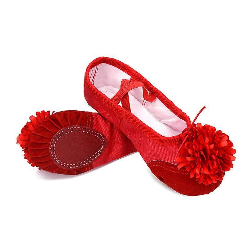 high quality women dance shoes ballet shoes | Fruugo UK