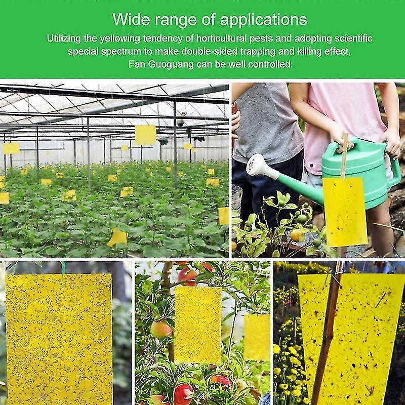 Sticky Insect Board Powerful Flycatcher Yellow Blue Sticker Sheet ...