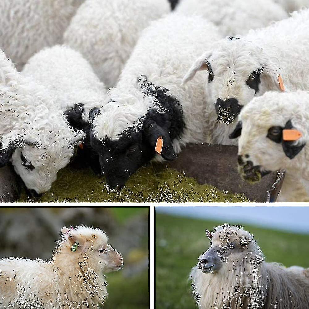 Ear Tag Pliers Ear Tag Sheep Marker Applicator 001-100 Ear Tags for ...