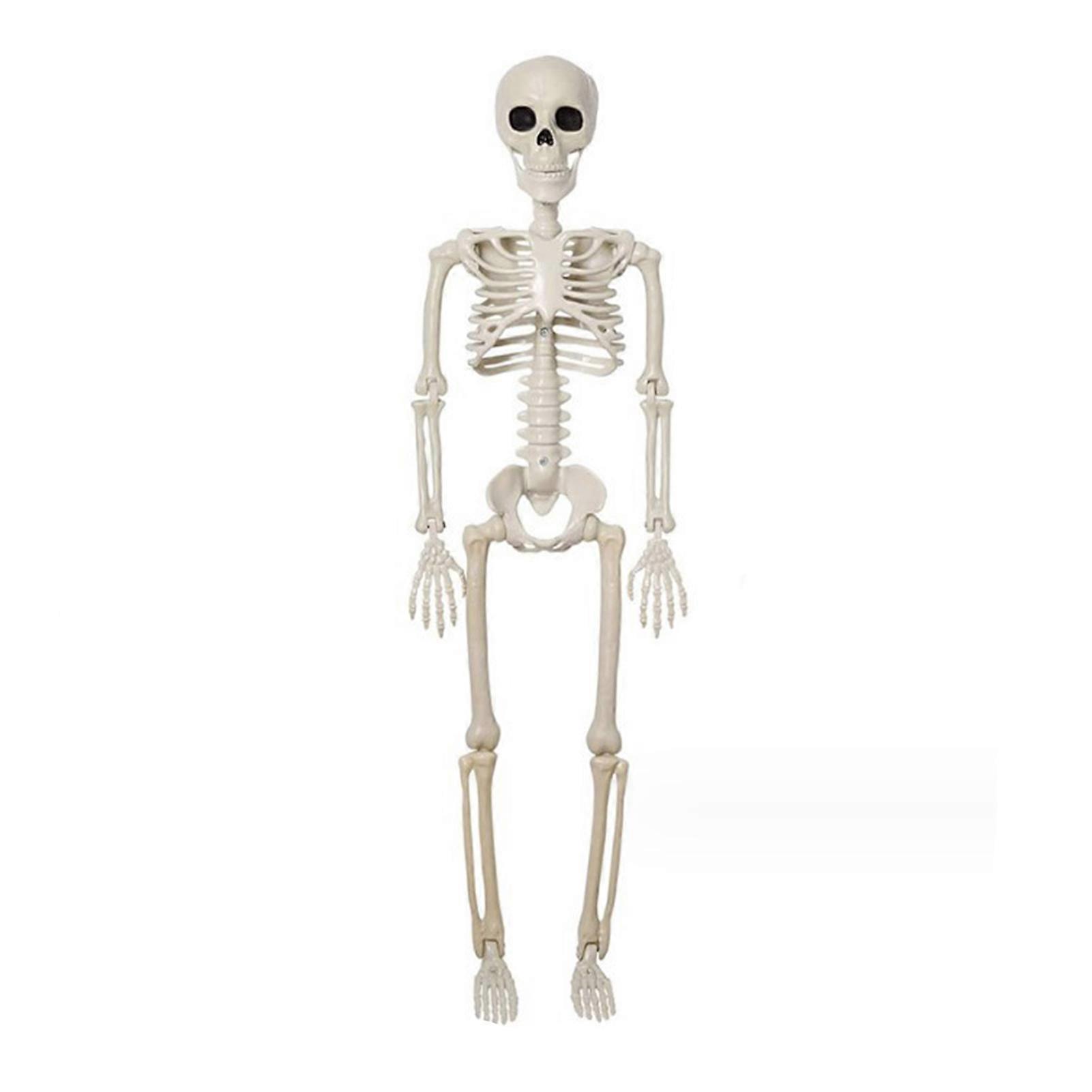 Halloween Skeleton Full Body Posable Joints Realistic Human Skeleton ...