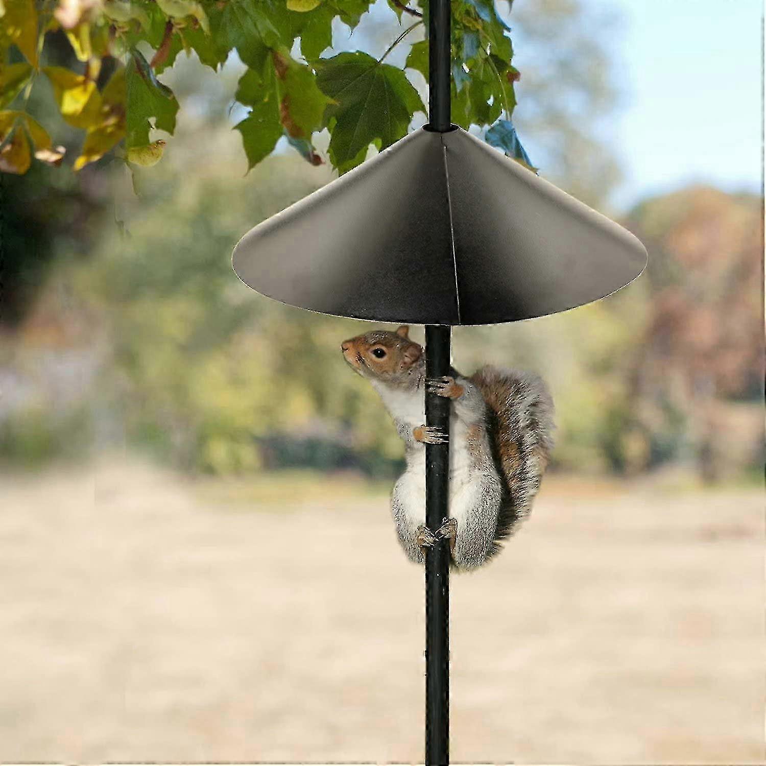 Squirrel Guard-Protect Hanging Bird Feeders and Poles-Raccoons and ...