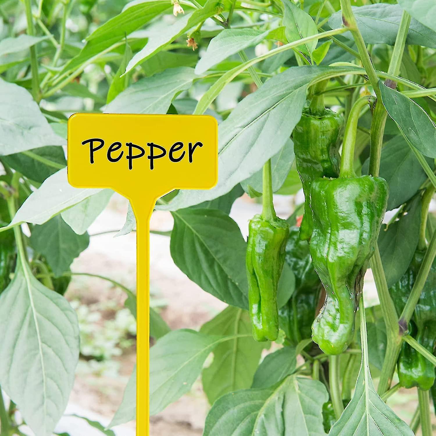 50 Pack Outdoor Tall Plant Labels, Large Waterproof Plastic Plant T ...