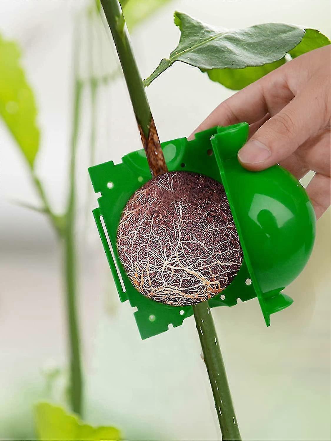 Plant Root Growing Box 12 Pieces Plant Rooting Device High-pressure ...