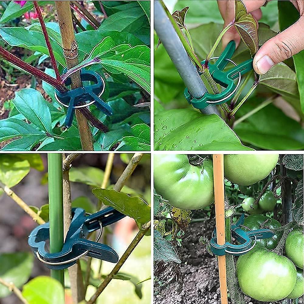 Plant Clips, Plant Clips For Tomatoes, Cucumbers And Other Climbing ...