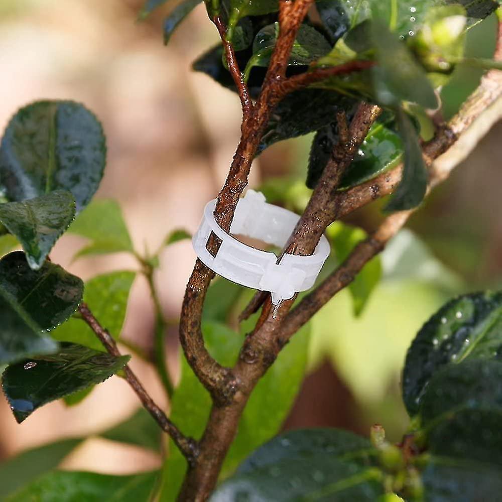 100 Pcs Garden Plant Clips Flower Clip Ideal For Securing Plants To ...