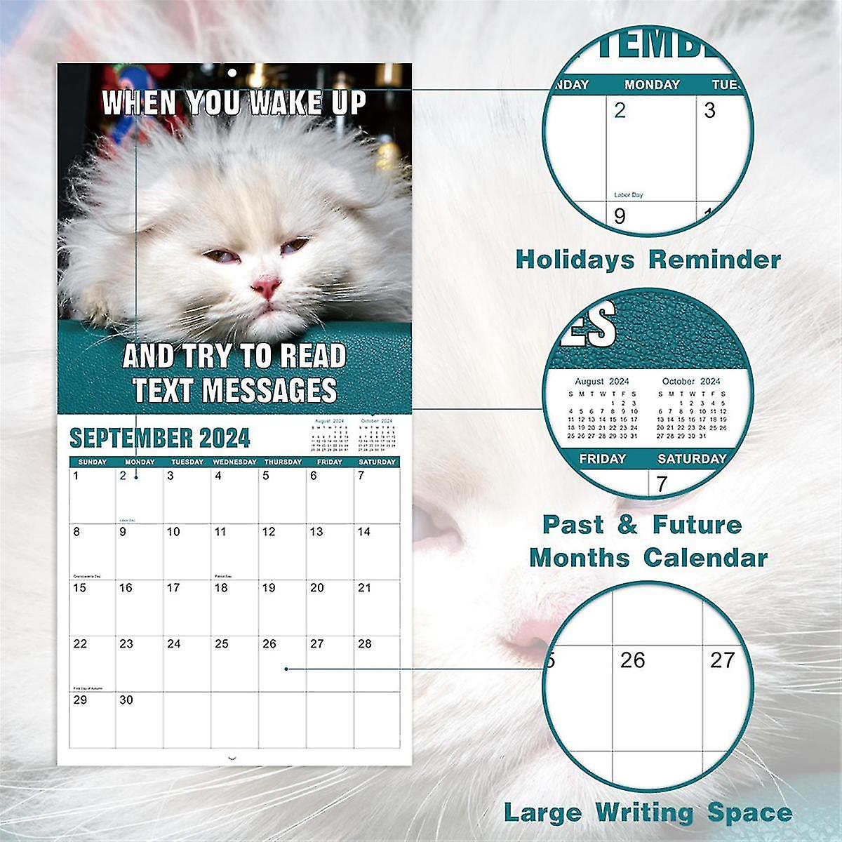2024 Wall Calendar - Funny Cat Calendar 2024, January 2024 - December ...