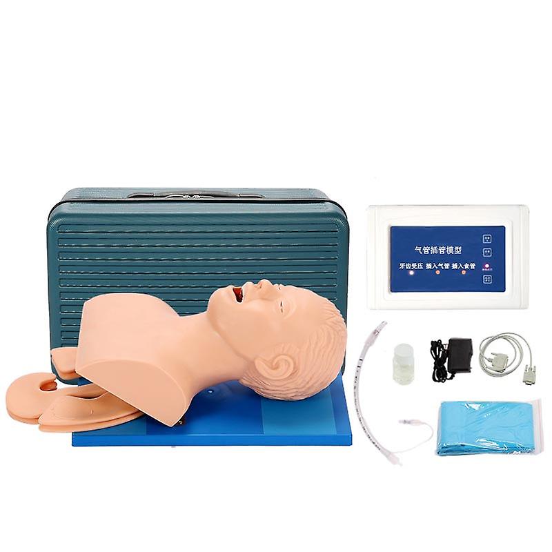 Human Tracheal Pvc Adult Intubation Manikin Teaching Model Airway ...