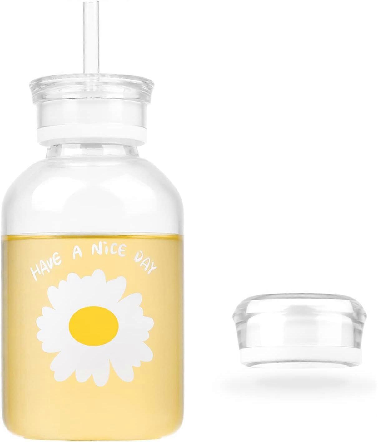 Cute Water Bottle, Matte Glass Water bottle with Straw, Milk Juice ...