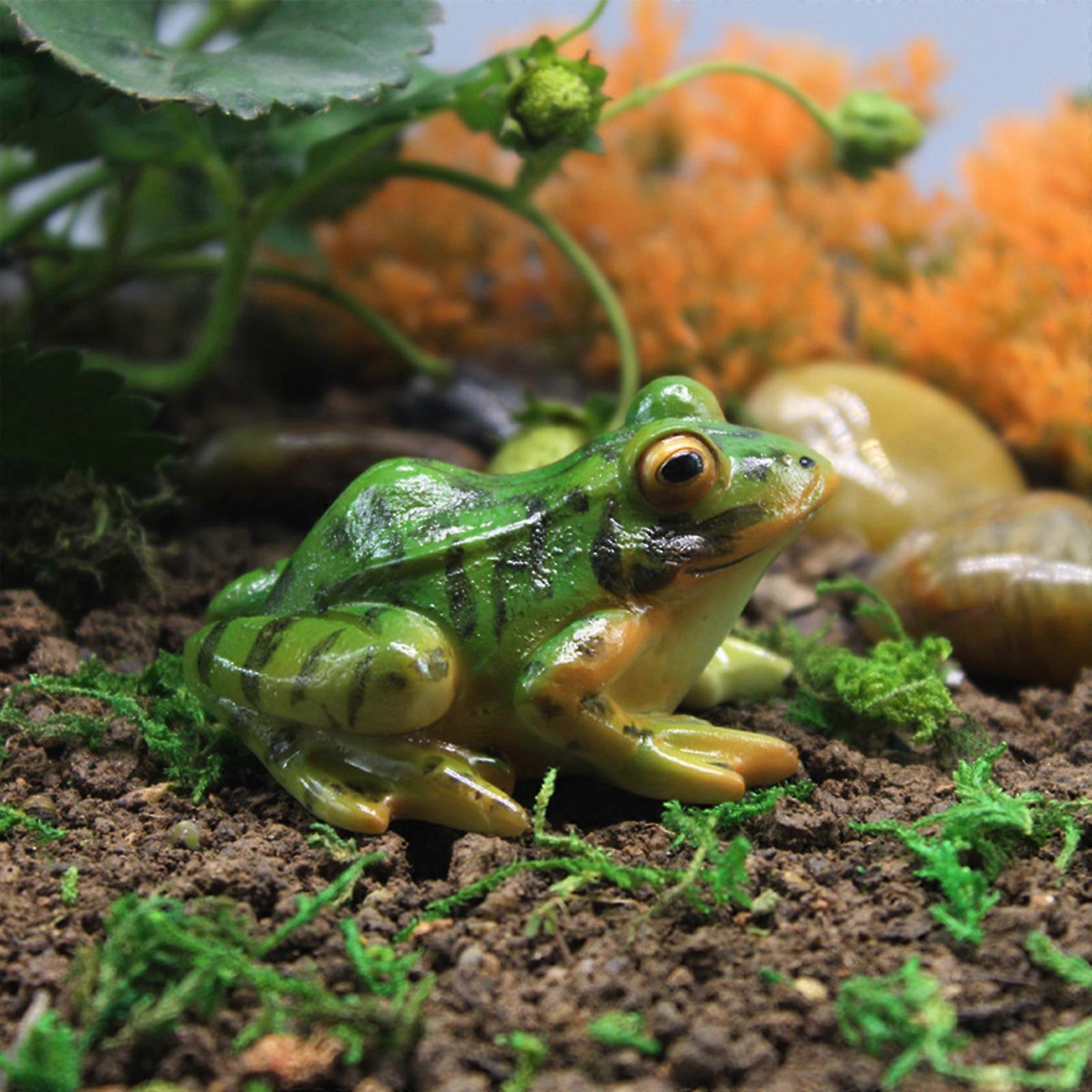 Toad Frog Landscape Statue Amphibian Toads Frogs Pond Swamp Rainforest ...