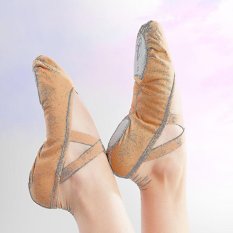 Women Ballet Shoes Dance Adult Children Ballet Slippers Soft Sole ...