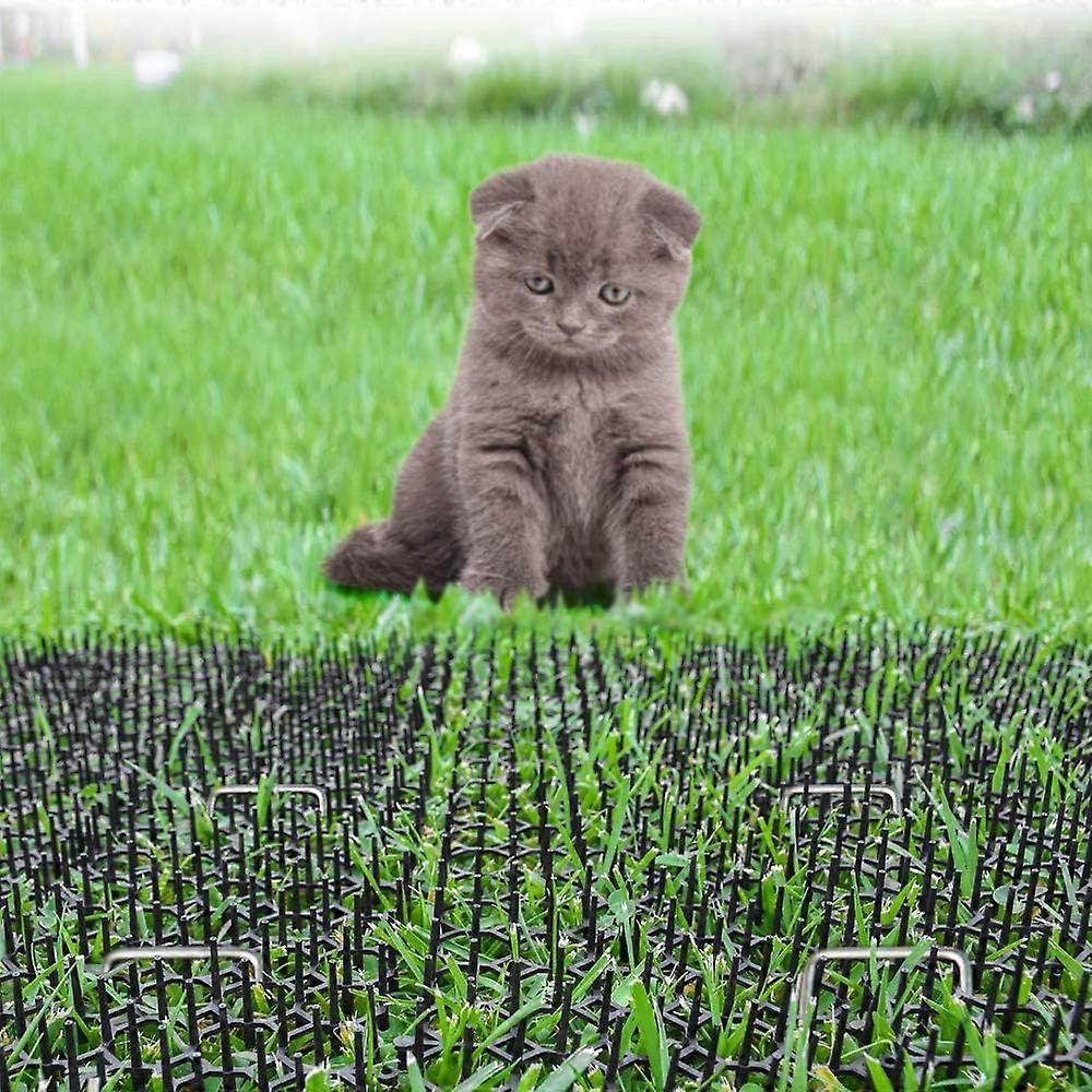 10 Pcs Anti-Cat with Spikes Outdoor Cat Repellent Mat with Thorn Grid ...