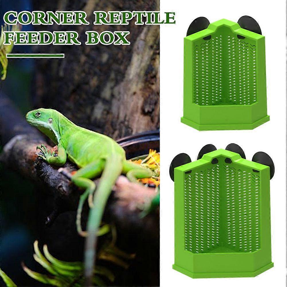 Bearded Dragon Feeder, Corner Reptile Feeder Box Wall-Mounted Terrarium ...