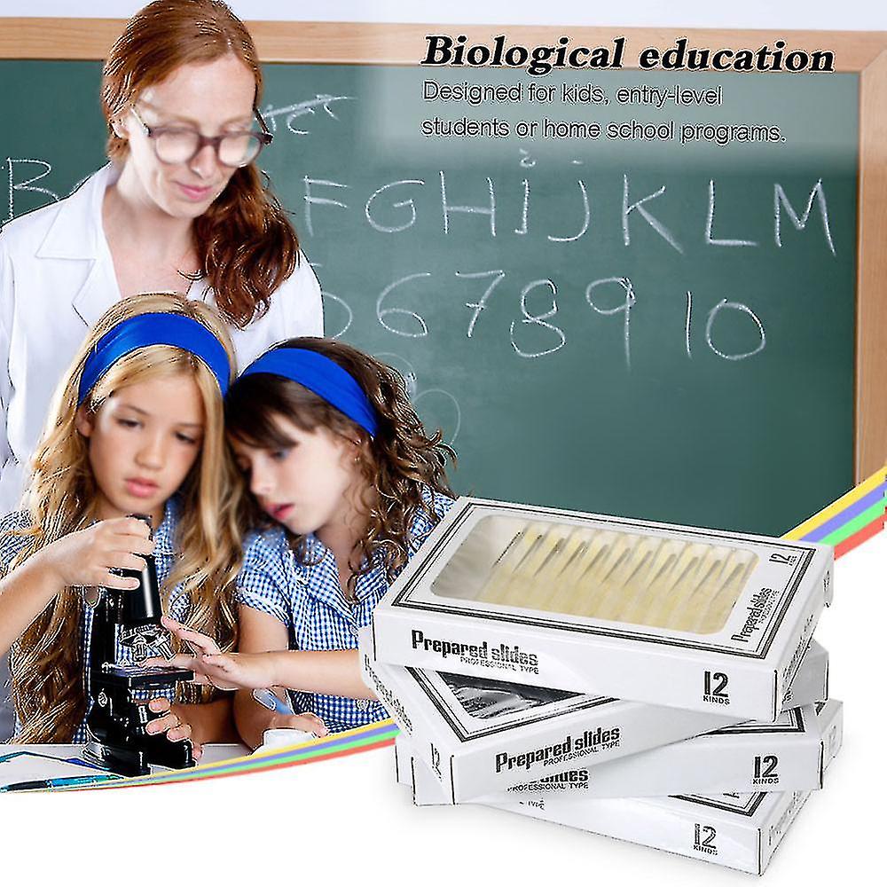 48pcs/set Plastic Prepared Microscope Slides Animals Insects Plants ...