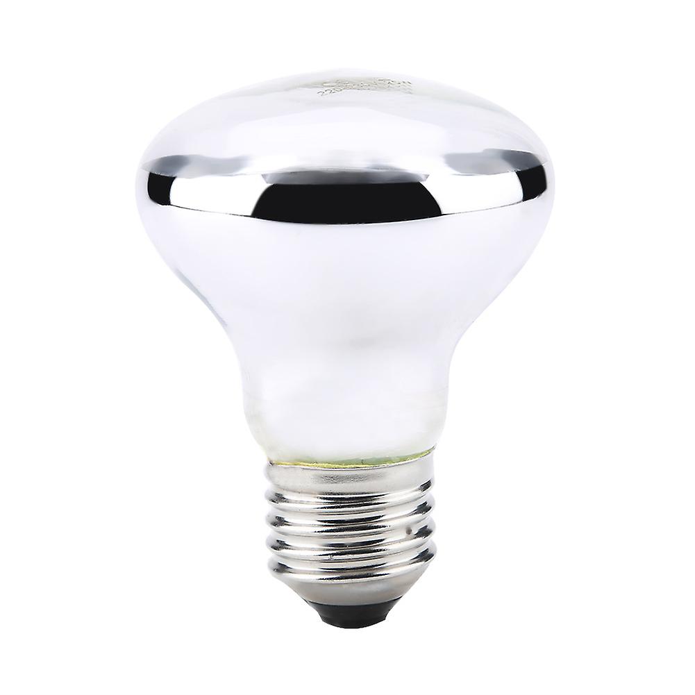 220-230V Night Heat Light Lamp Bulb for Bird Snake Reptile Pet ...