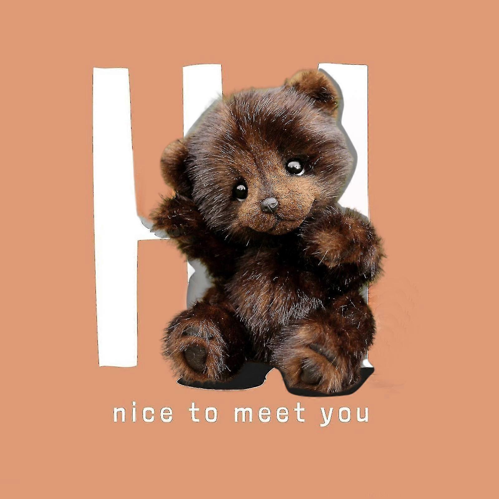 Pure Handmade Alpaca Wool Plush Bear - Jointed With Glass Eyes - 9.84 ...