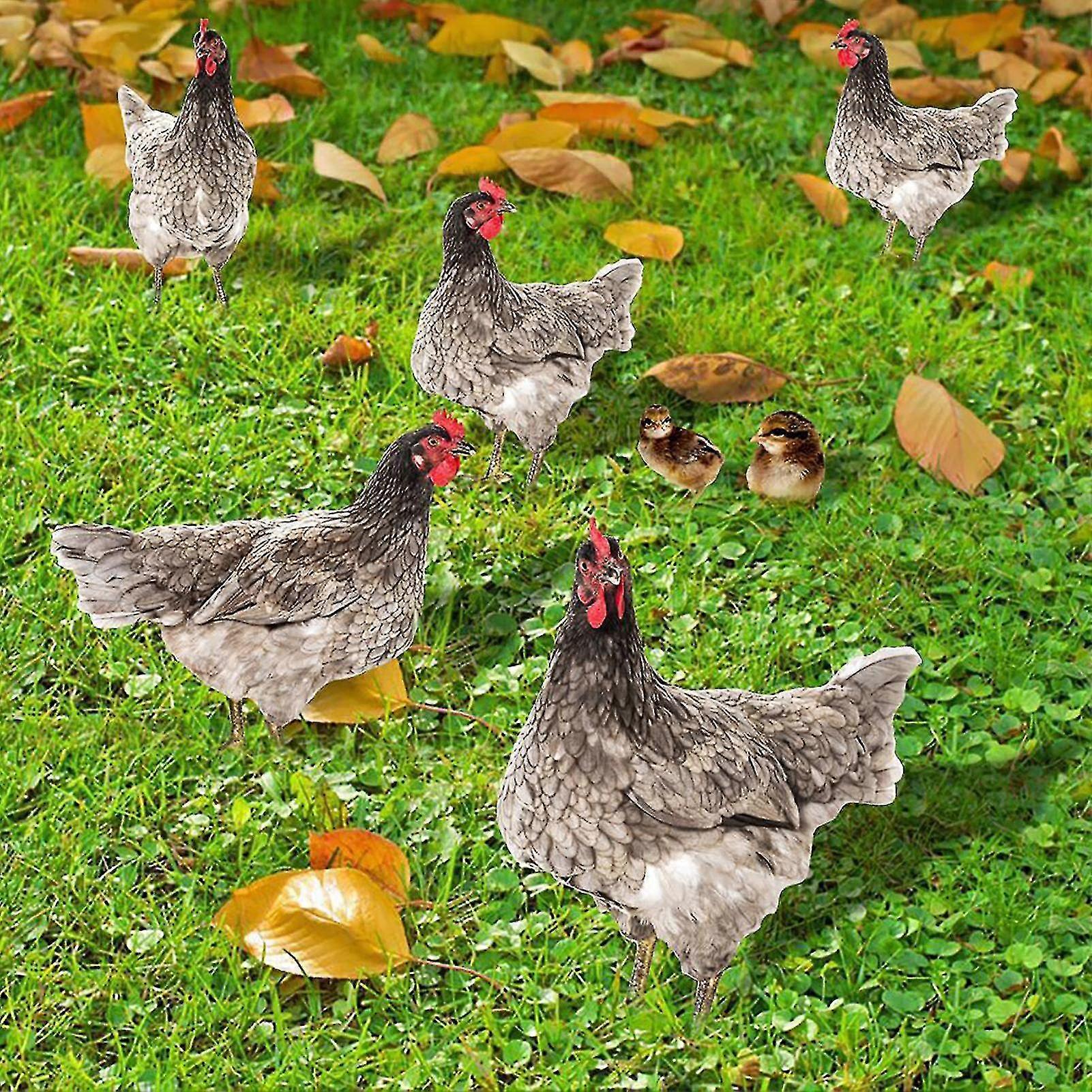 Rooster Decor Realistic Life-like Ornamental Double-sided Printing ...