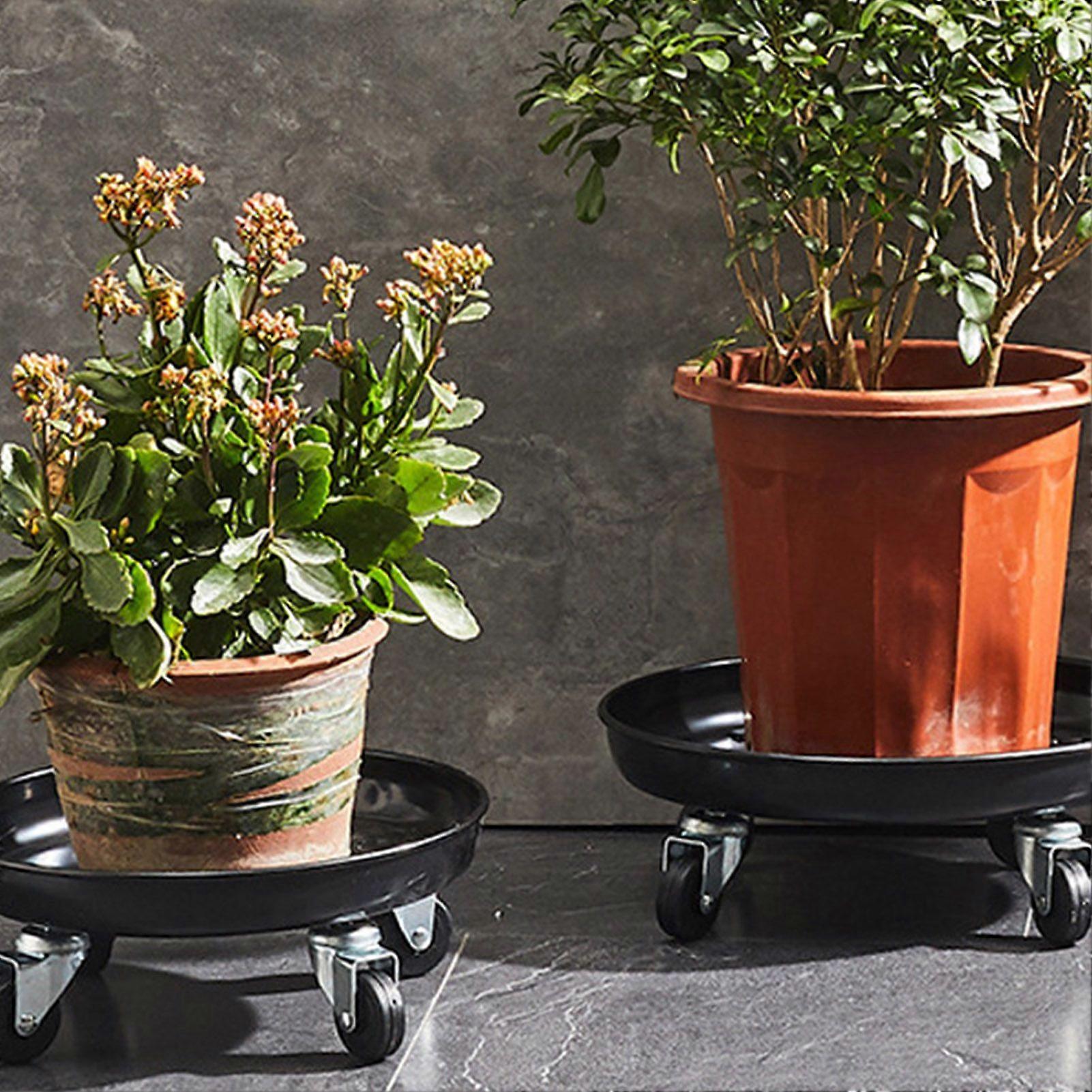 Metal Plant Caddy with Wheels Heavy Duty 360-degree Rolling Plant Dolly ...