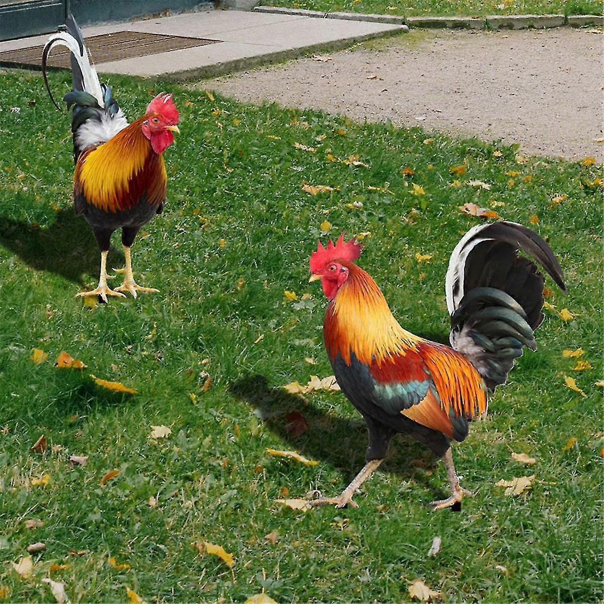 Set Of 2 Acrylic Rooster Statues, Outdoor Garden Statues, Chicken Decor ...