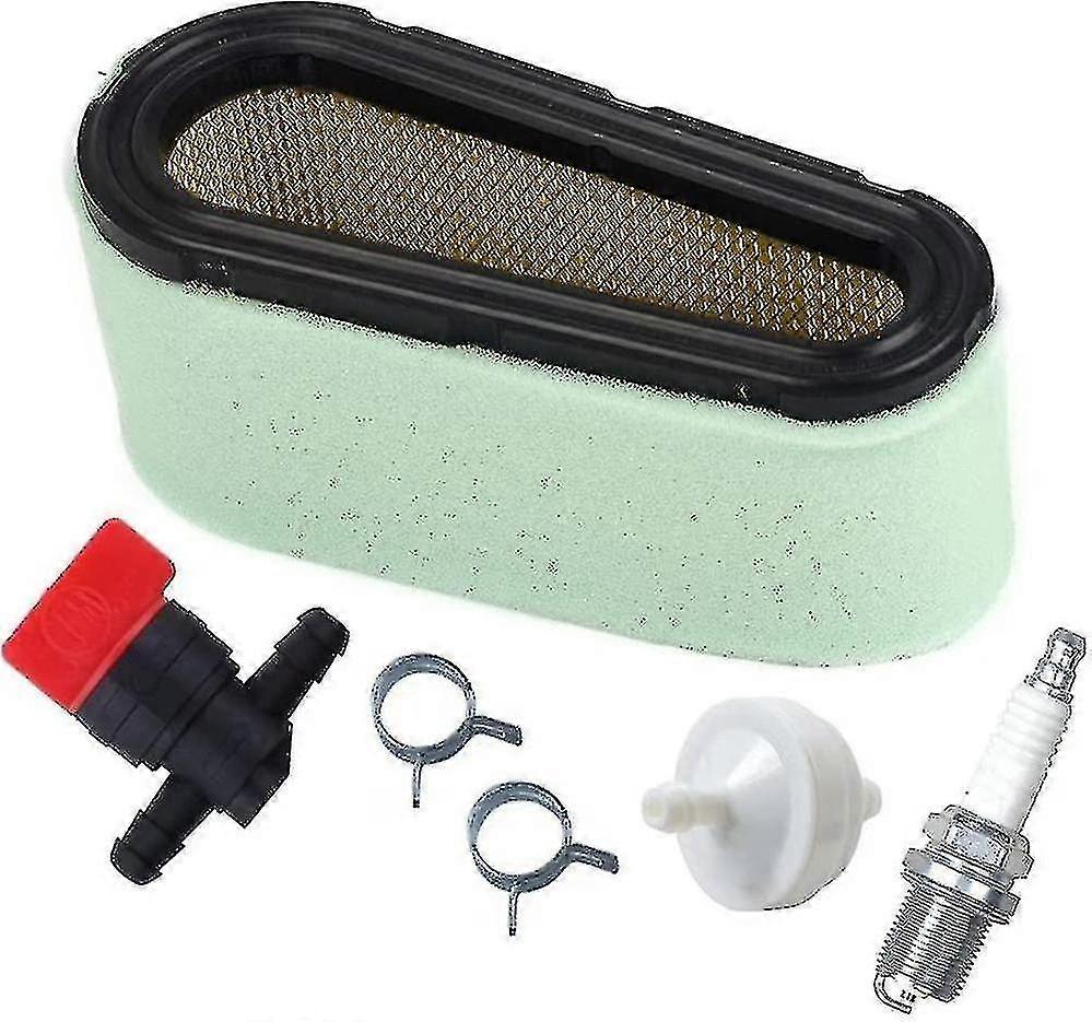 496894 Filter And Pre-filter Kit For Briggs Stratton 12.5-17 494768 ...