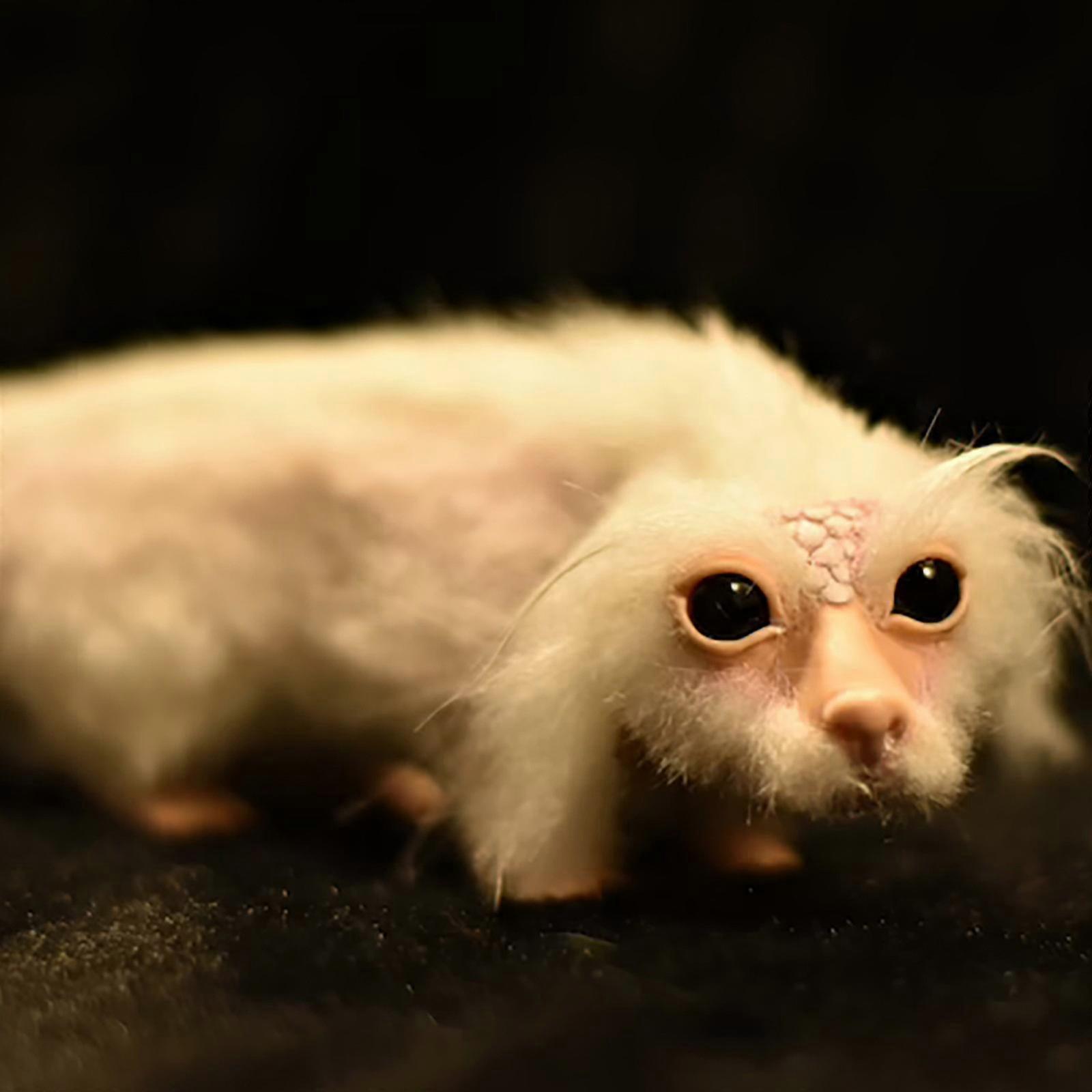 Funny Present Plush Doll Worm From Labyrinth Falkor From The ...