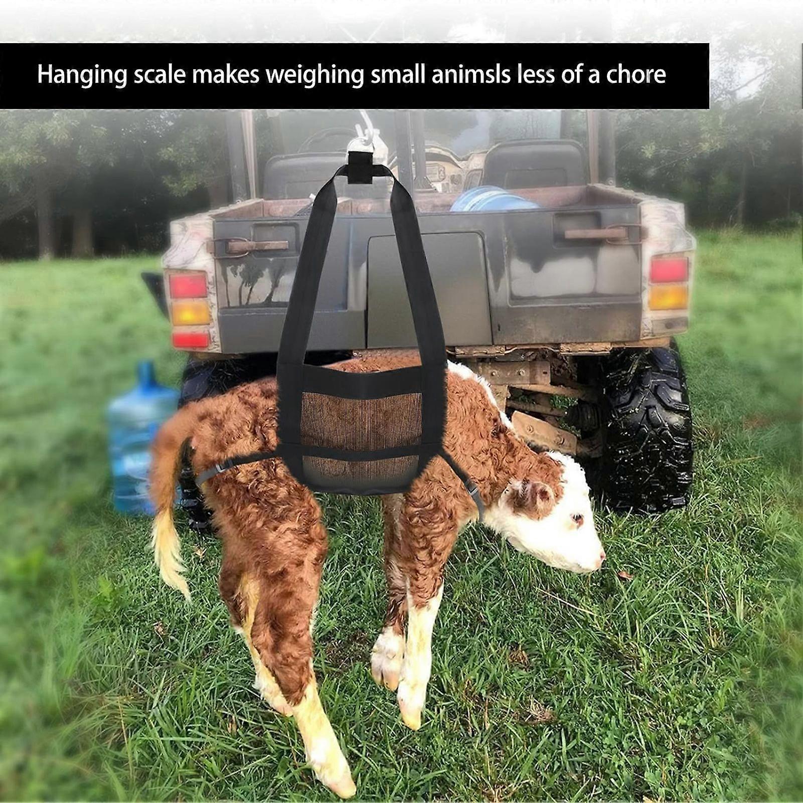 Weighing Sling Calf Hanging Weight Scale Sling with Adjustable Straps ...