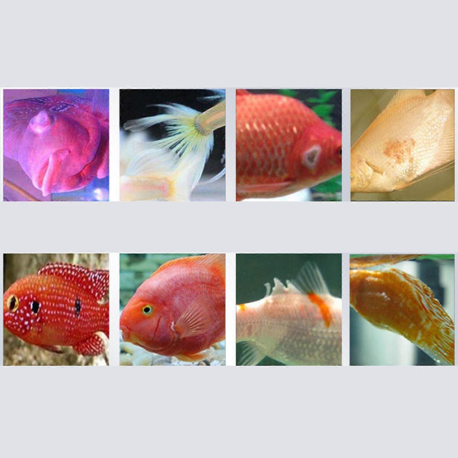 Cure Freshwater and Saltwater Goldfish Tropical Fish Medication Water ...
